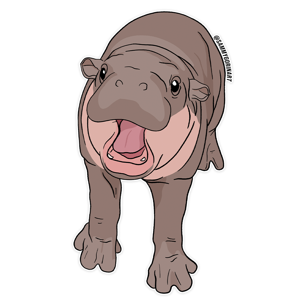Moo Deng Hippo Sticker – Sammy Gorin LLC